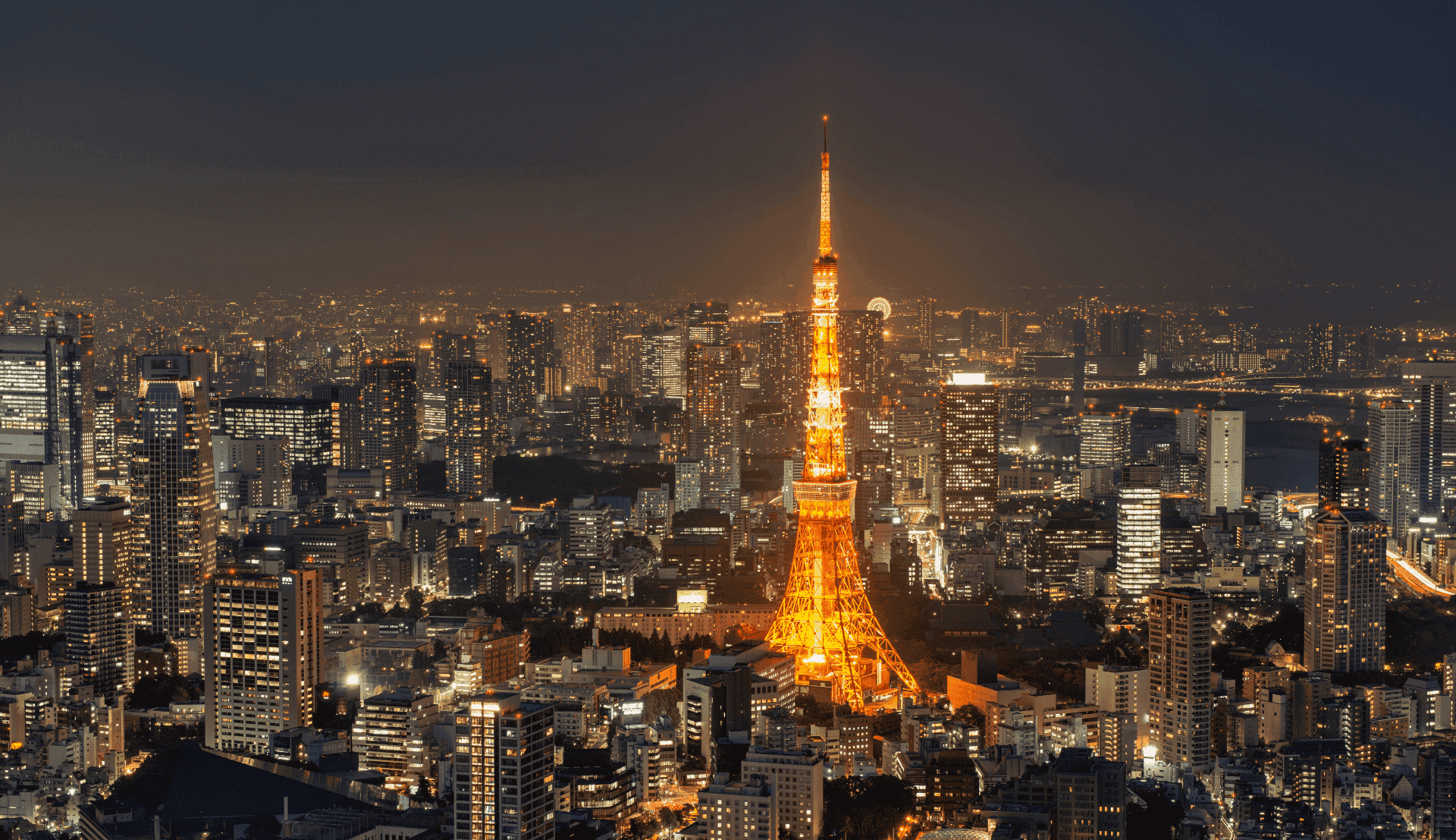 1 Week Tokyo Package Tour (Sample) - Hire Taxi Japan