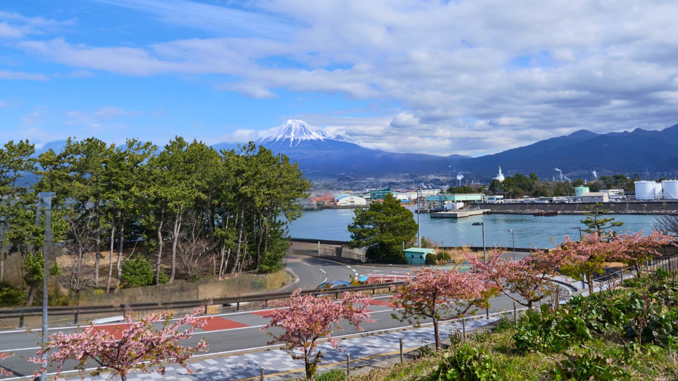 Magical Mount Fuji Cherry Blossoms 2025: Best Viewing Spots & Bloom ...