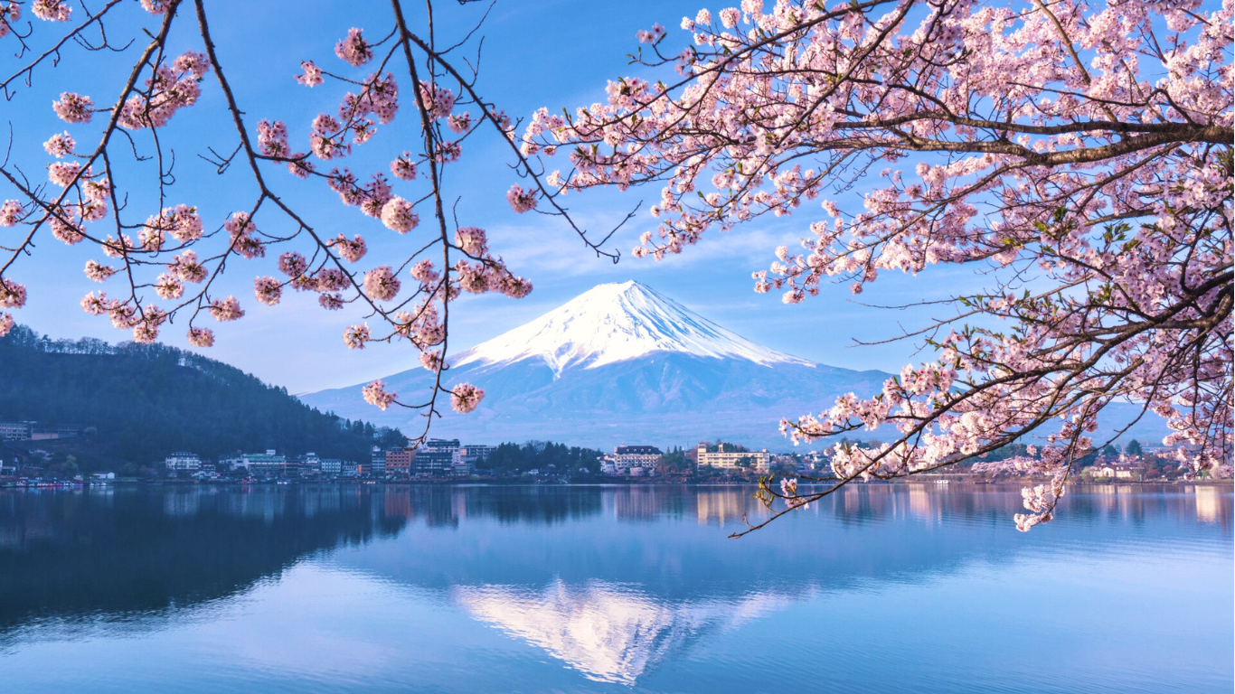 Magical Mount Fuji Cherry Blossoms 2025: Best Viewing Spots & Bloom ...