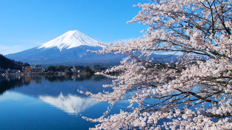 Magical Mount Fuji Cherry Blossoms 2025: Best Viewing Spots & Bloom ...