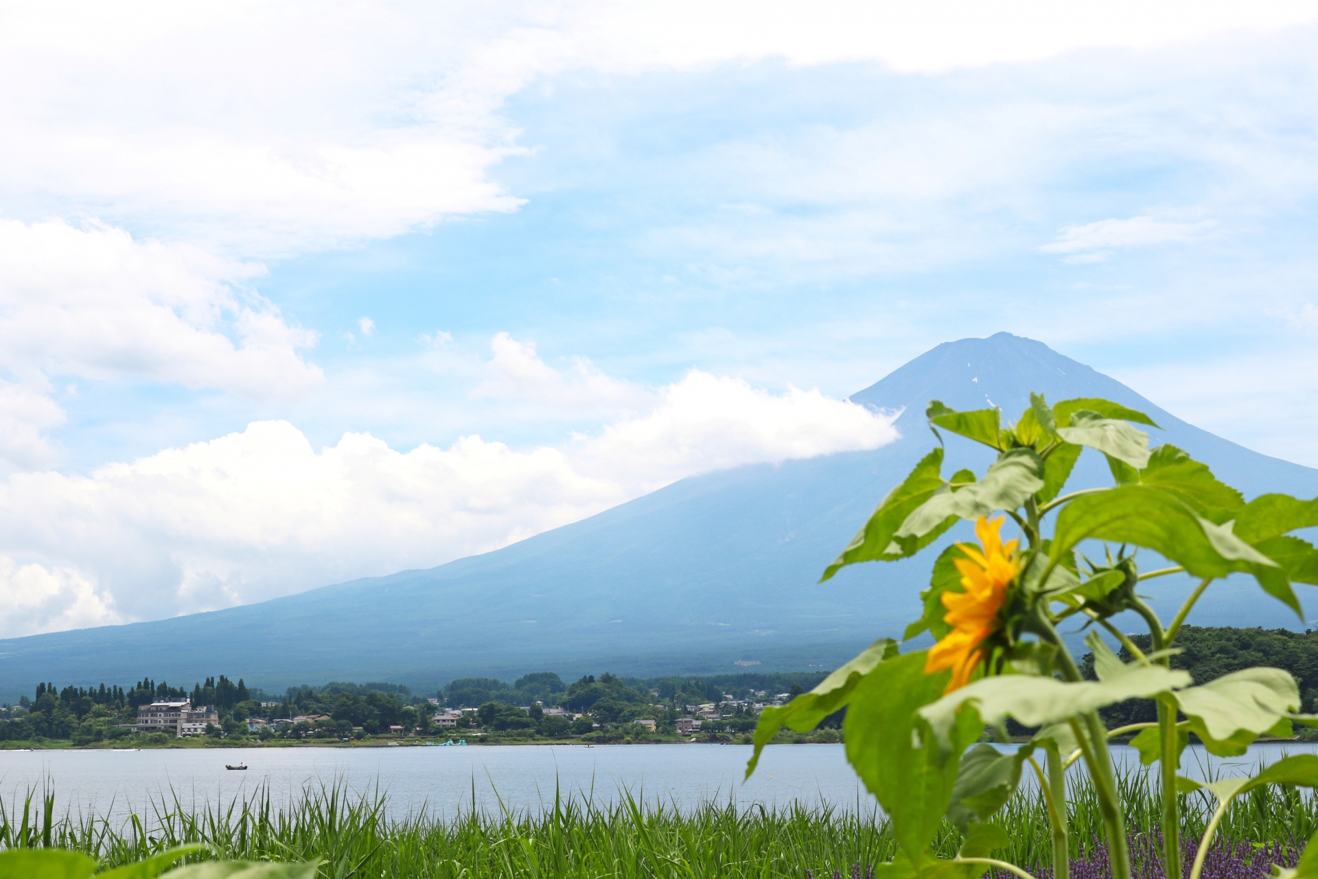Mt. Fuji Summer Tour: 10-Hour Scenic Adventure for an Unforgettable Day