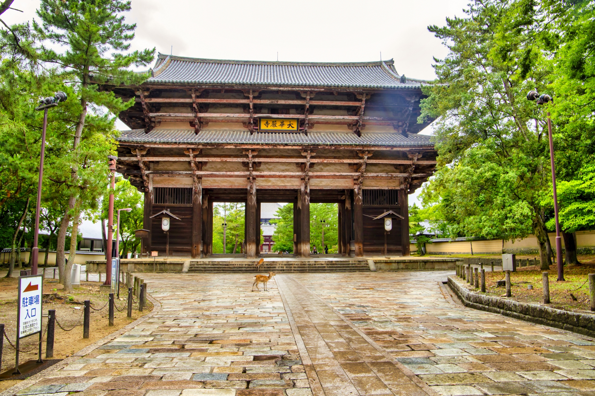Nara Rainy Day Itinerary: A Peaceful 10-Hour Private Tour Full of ...