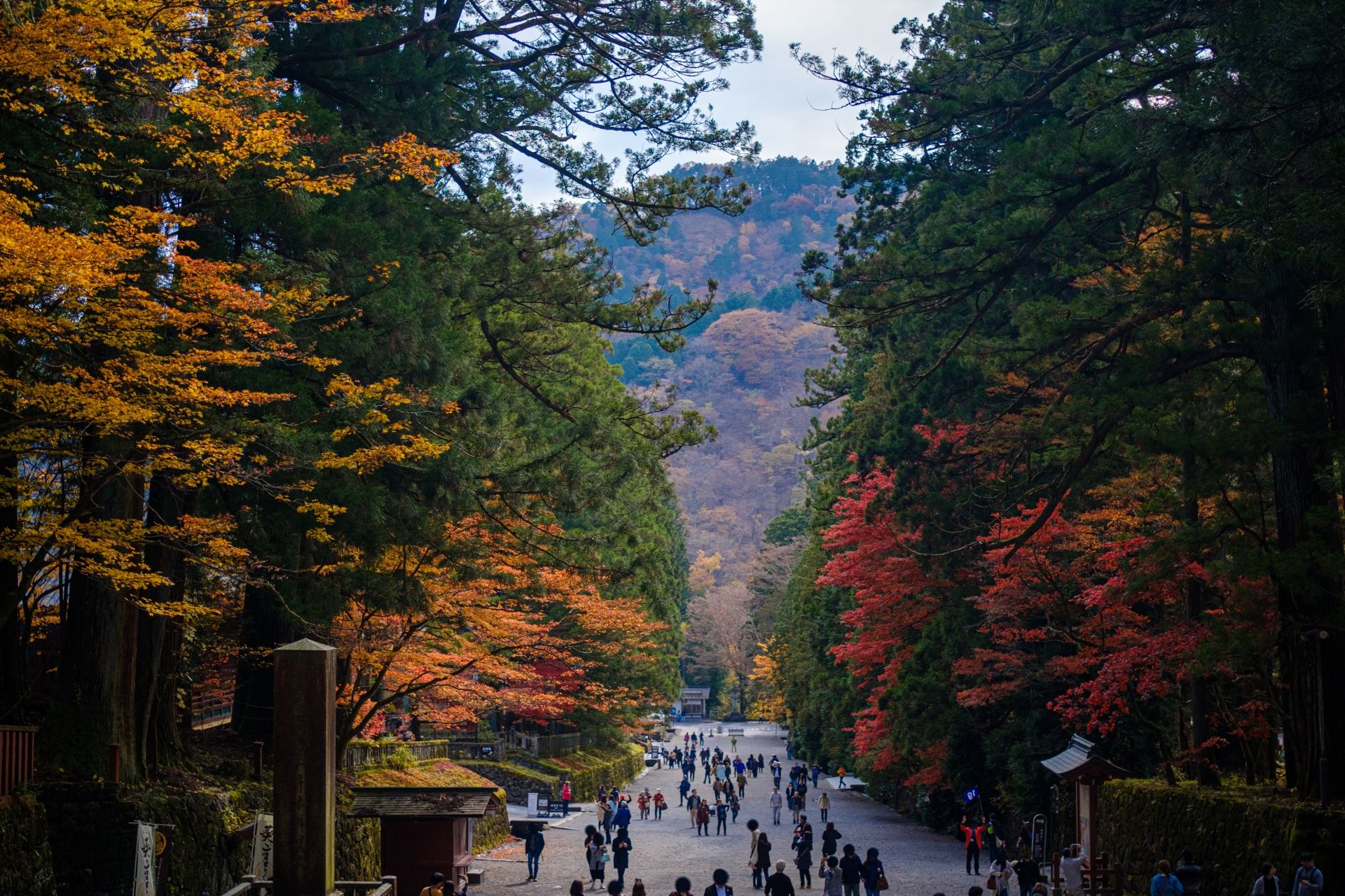 5 Breathtaking Places to See the First Autumn Leaves in Japan (Early ...