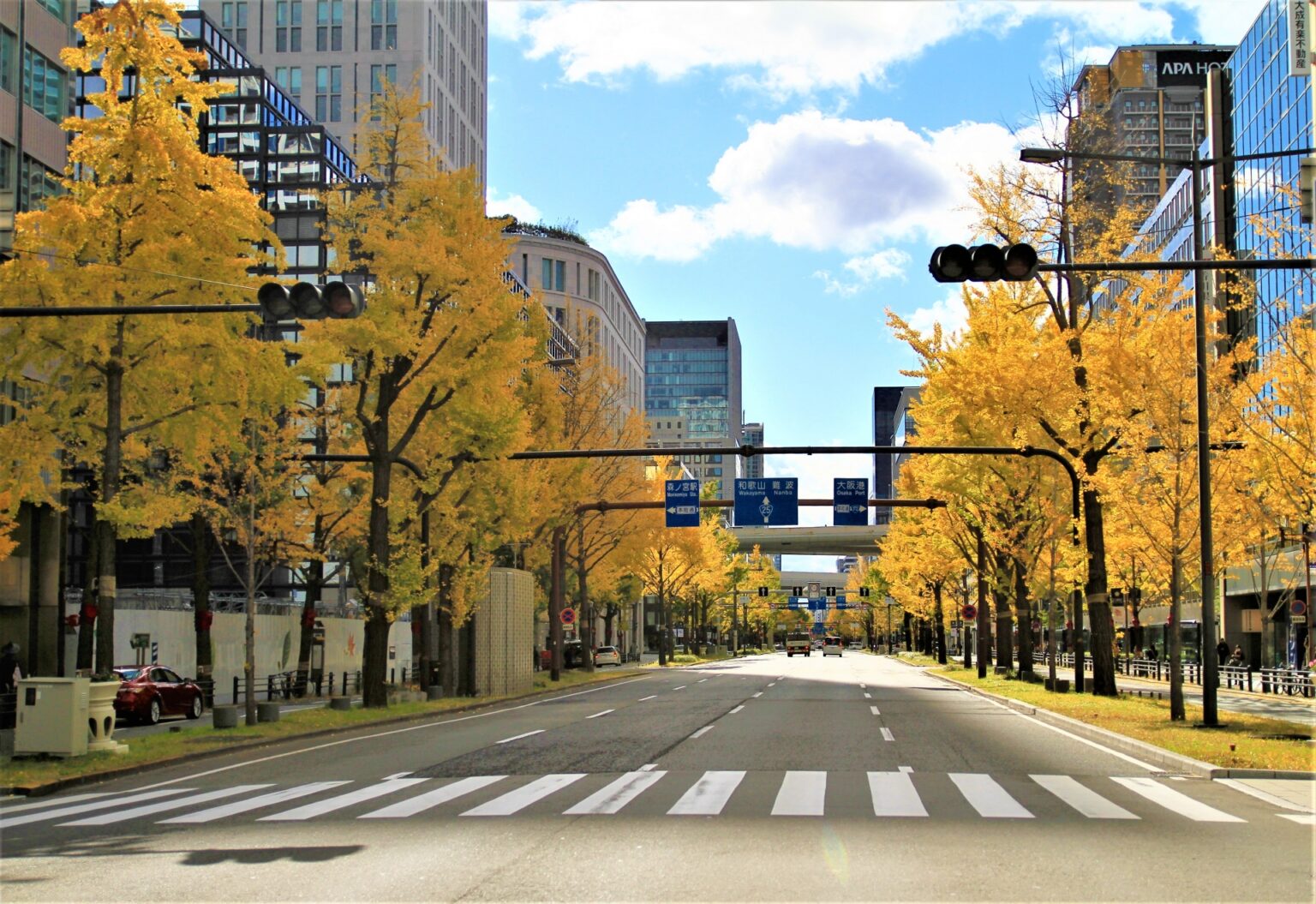 Osaka Autumn Tour 2025: Unforgettable Full-Day Journey Through ...