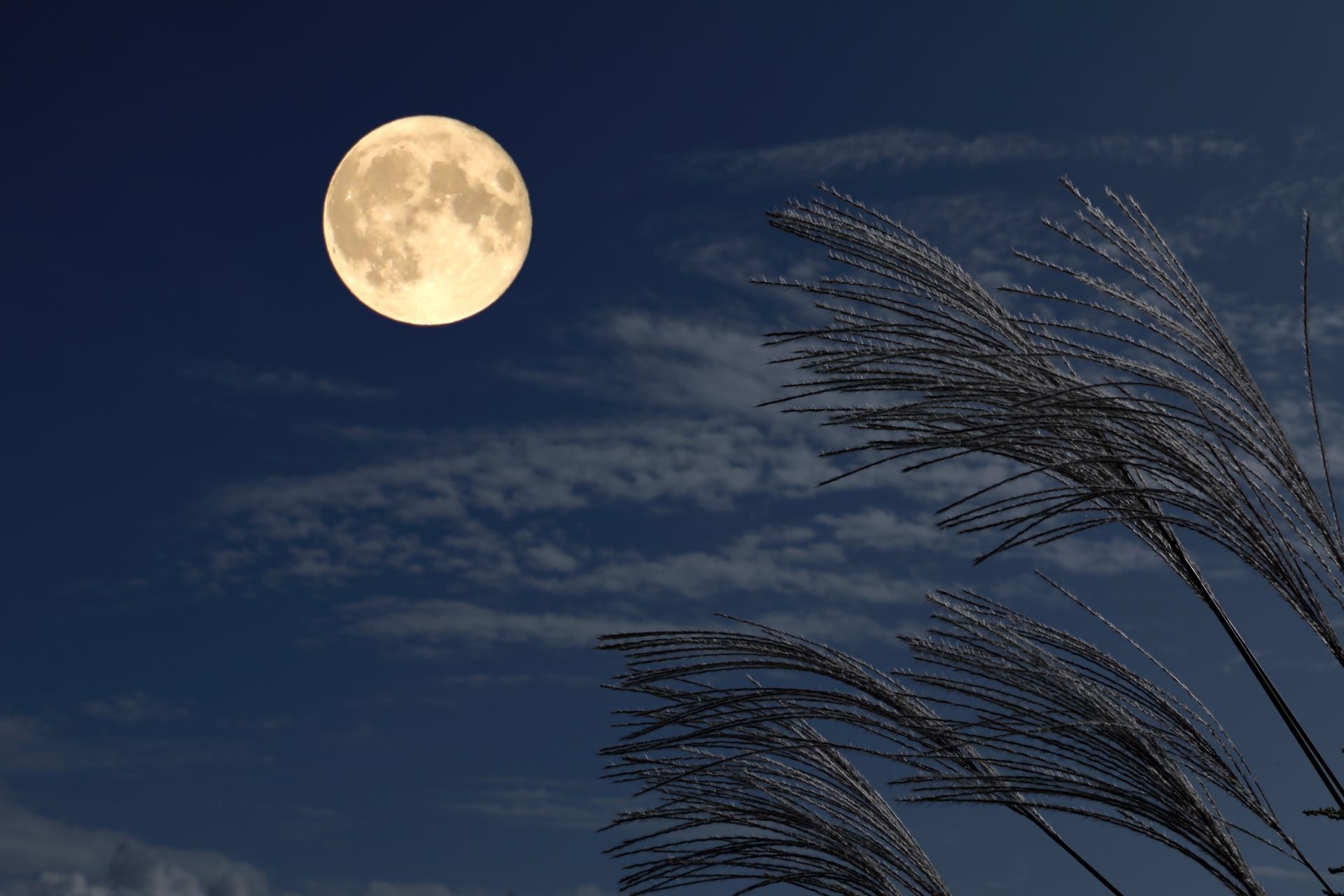 Tsukimi in Japan 2025: Timeless Moon-Viewing Traditions and ...